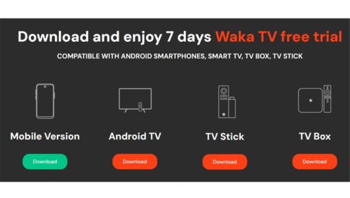 What is the Waka TV subscription price